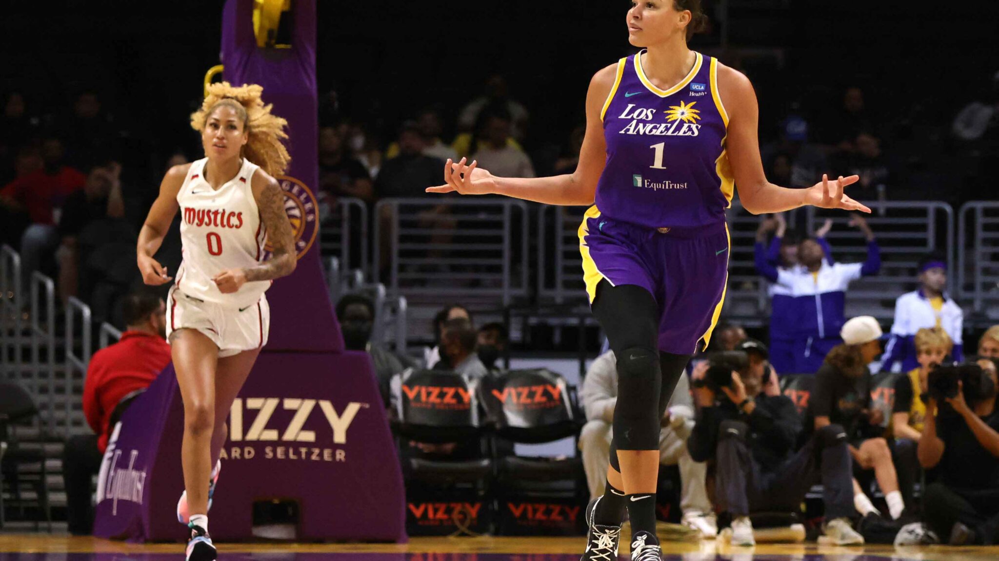 Top 10 Tallest Female Basketball Players in The WNBA History